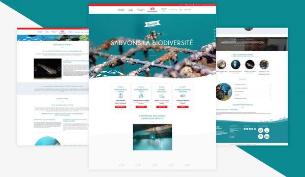 8 sites WordPress réalisés avec le thème Bridge - NOMADINDESIGN ...